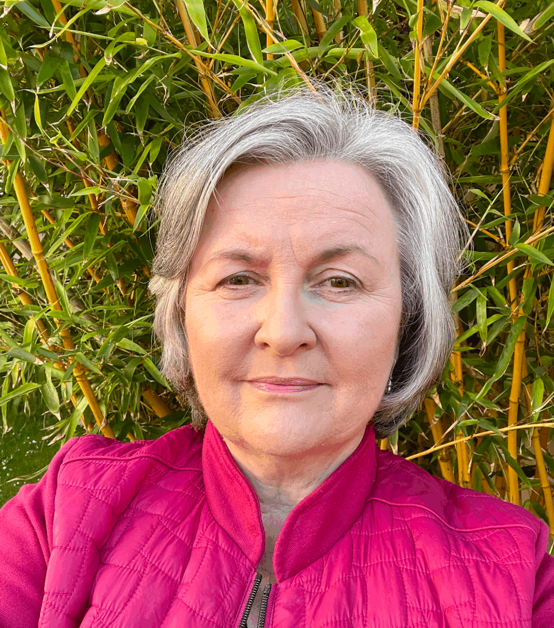 Anne Nagle - Andiron